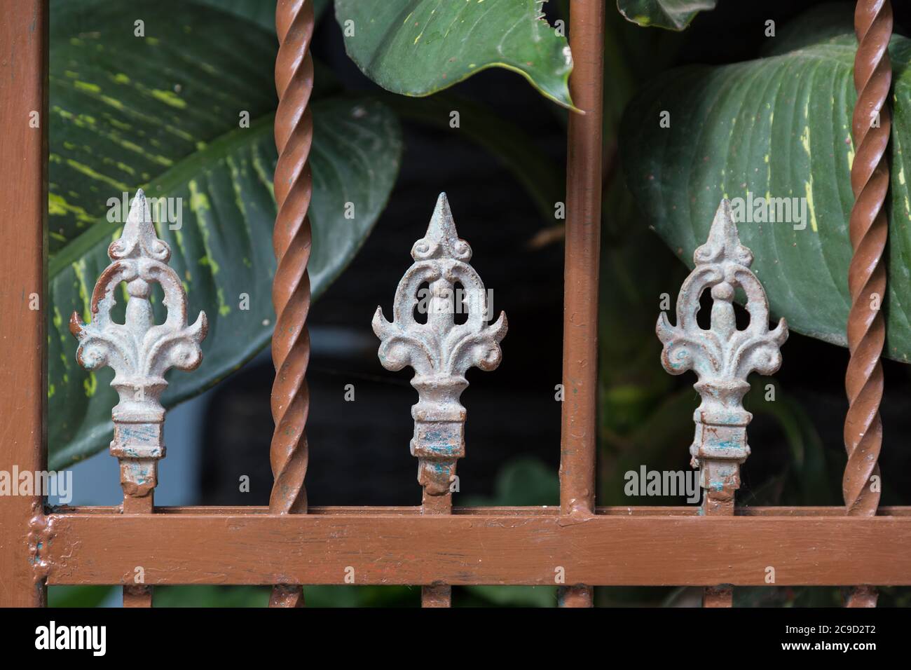 Batopilas, Chihuahua, Mexico. Iron Grillwork around Residential Garden ...