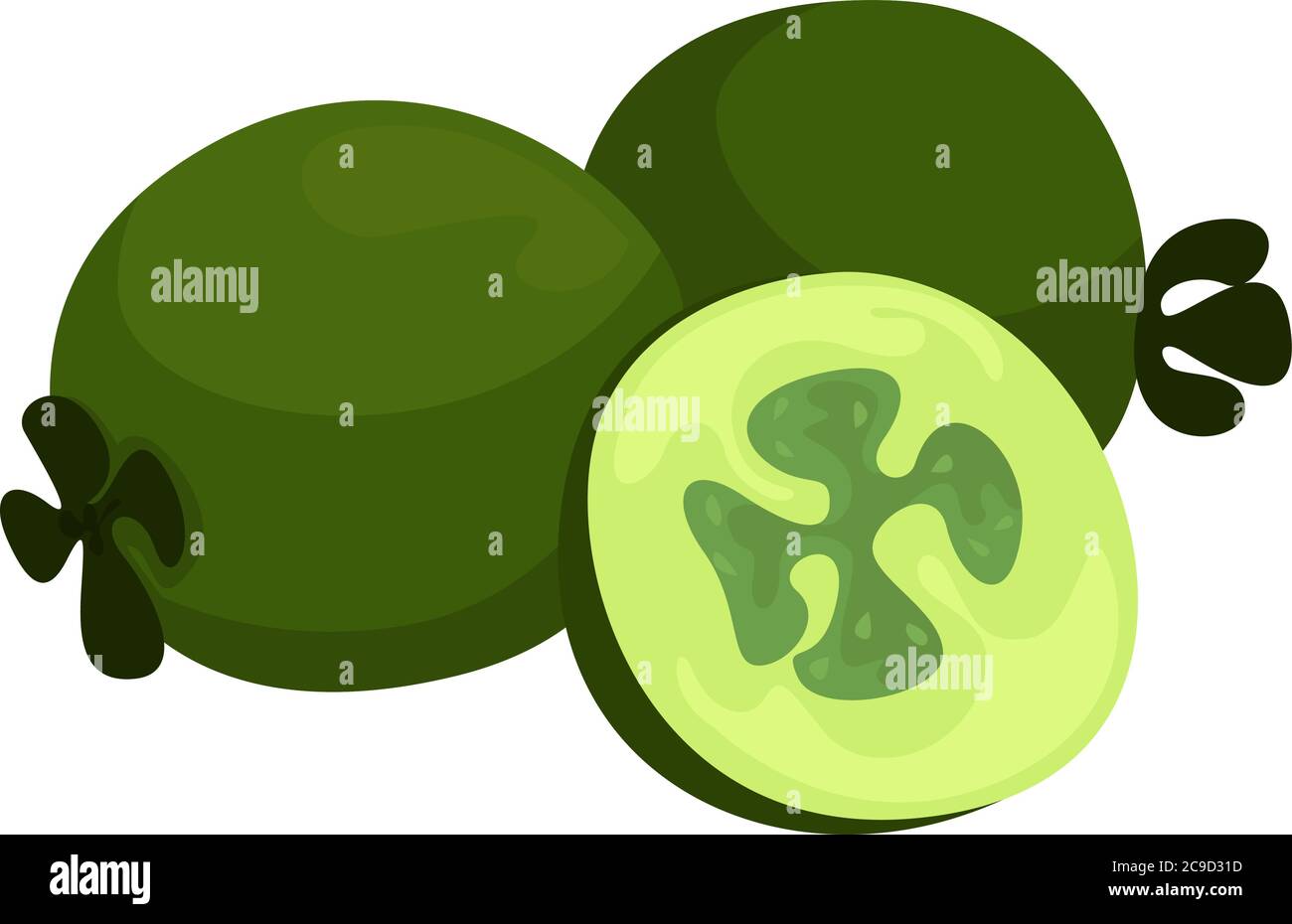 Feijoa vector vectors hi-res stock photography and images - Alamy