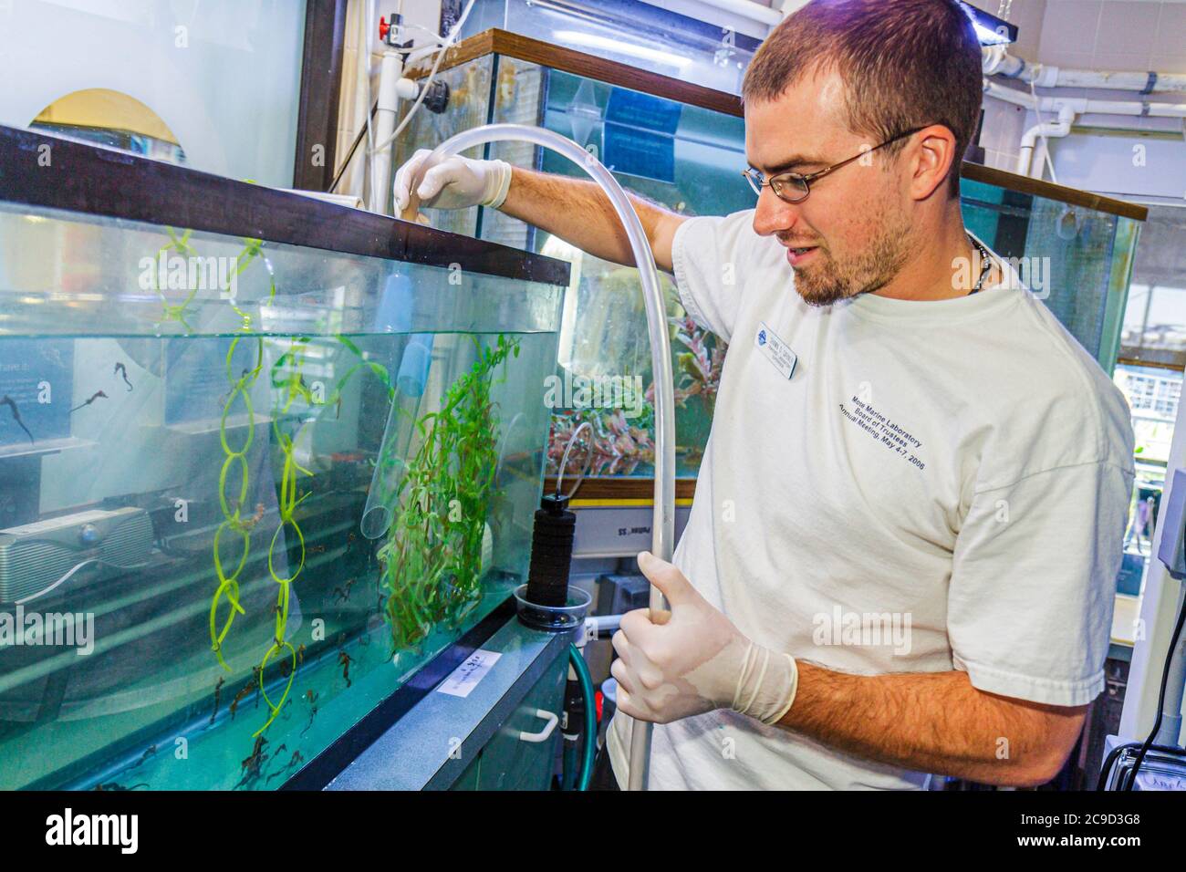 Sarasota Florida,Lido Key,Mote Marine Laboratory Aquarium,suction cups ...
