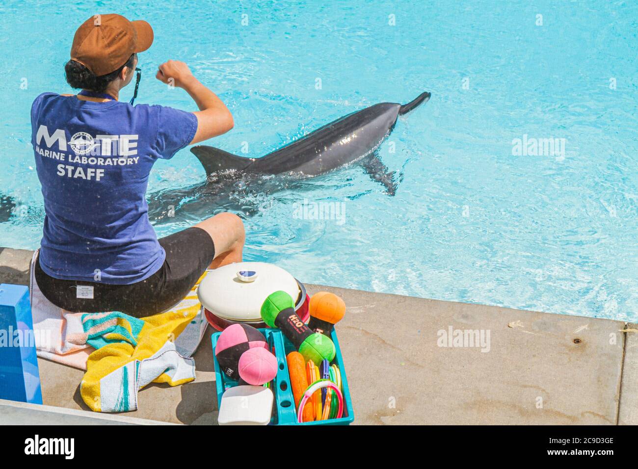 Sarasota Florida,Lido Key,Mote Marine Laboratory Aquarium,dolphin ...