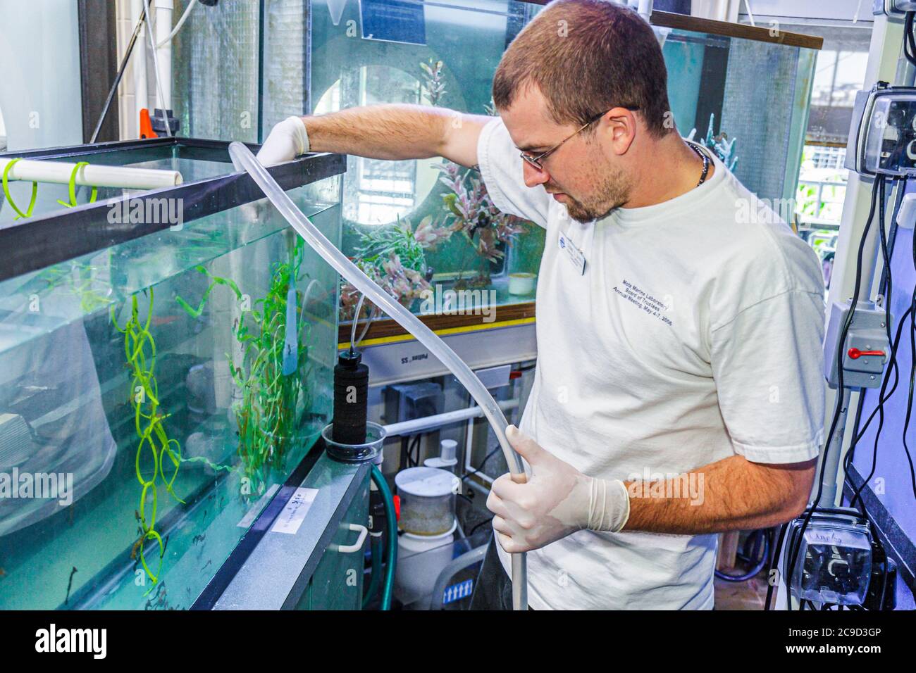 Sarasota Florida,Lido Key,Mote Marine Laboratory Aquarium,adult adults ...