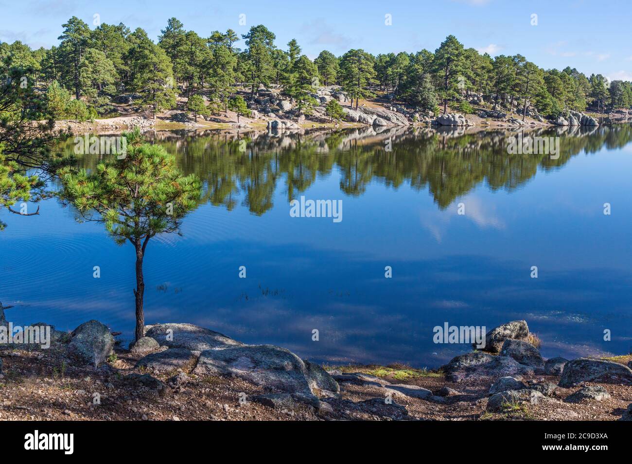Creel, Chihuahua, Mexico. Lake Arareco Scene Stock Photo - Alamy