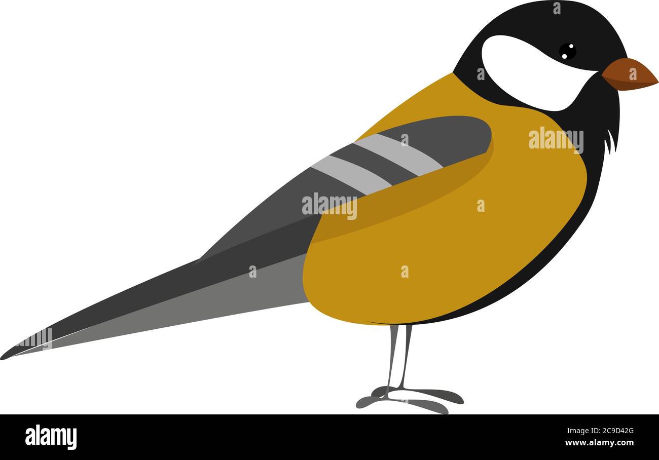 Great tit, illustration, vector on white background Stock Vector Image ...