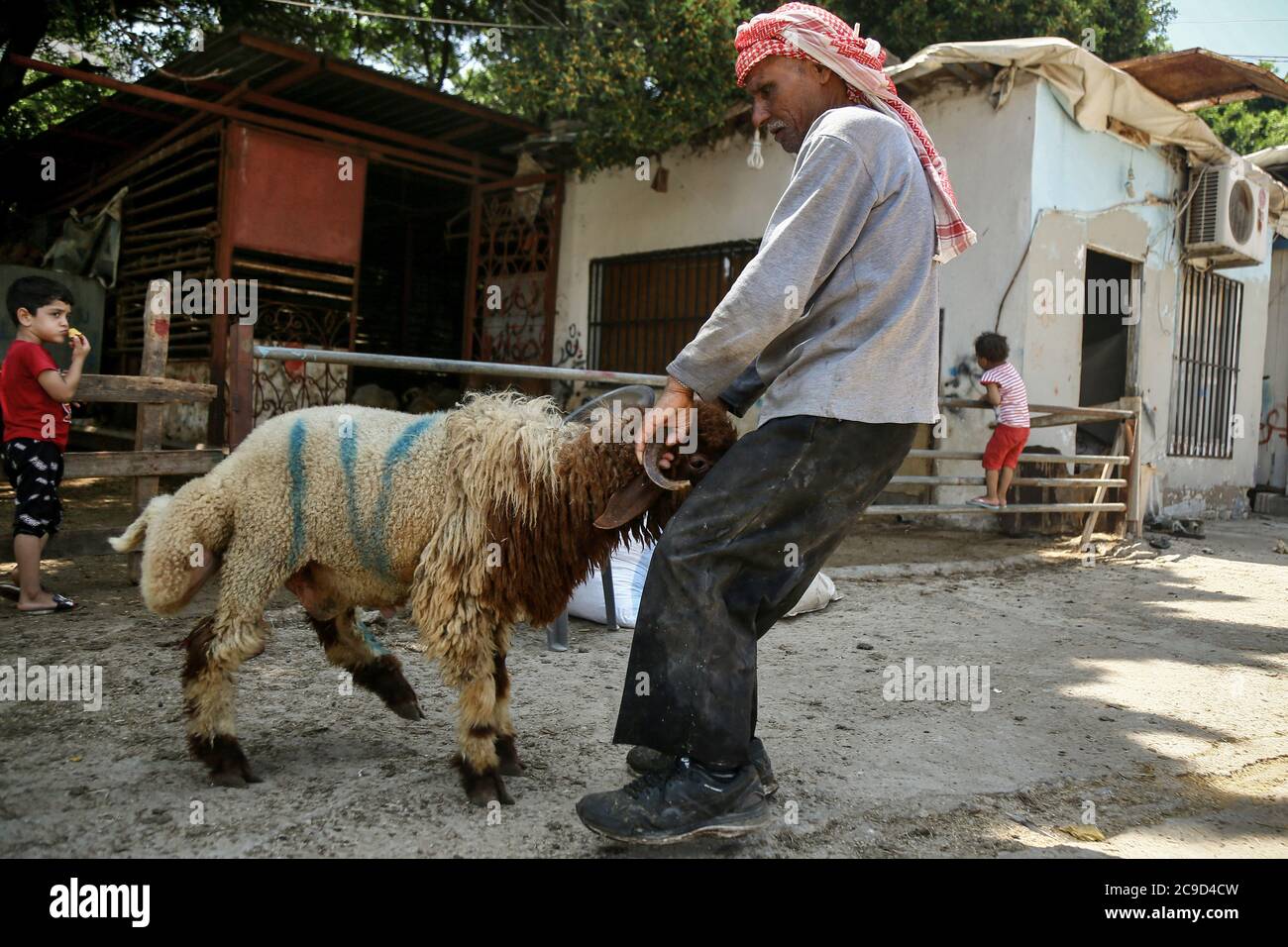 Beirut, Lebanon. 30th July, 2020. A man pulls a sheep by the horns for ...