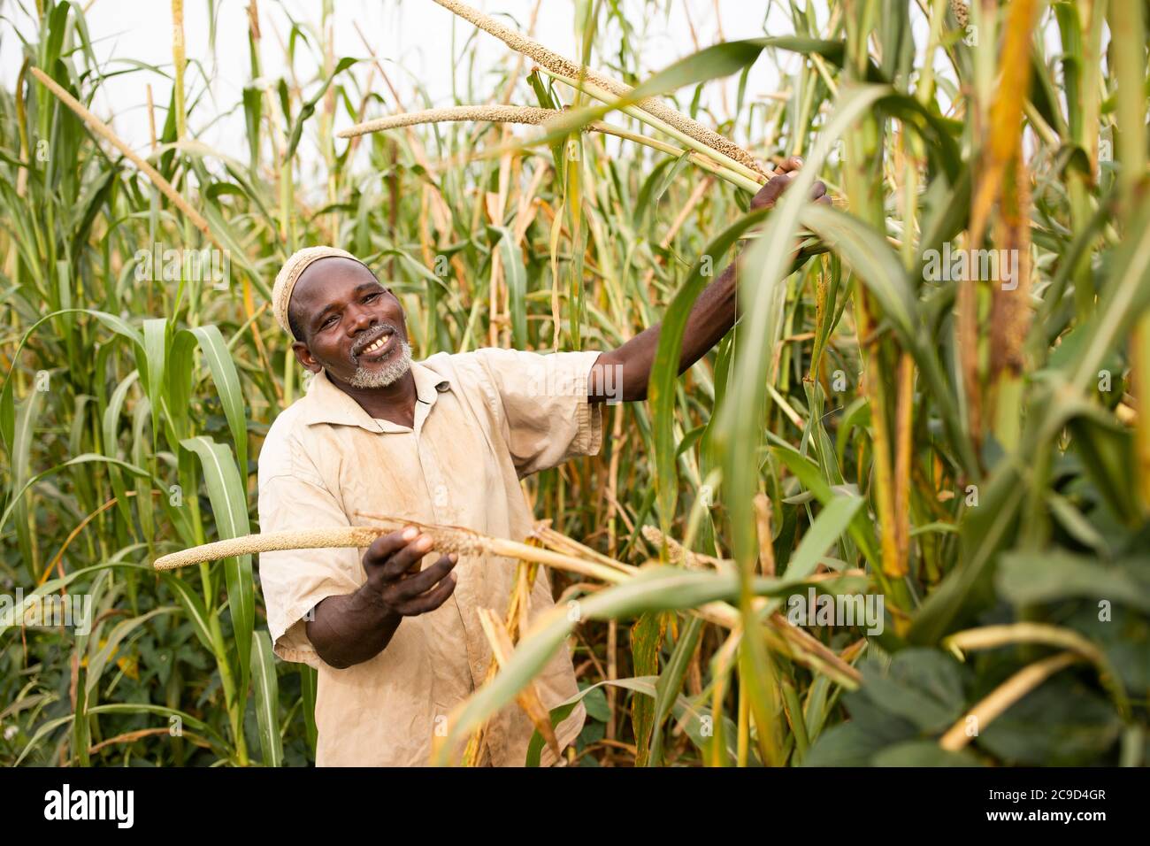 Niger and farming and farmer hi-res stock photography and images - Alamy