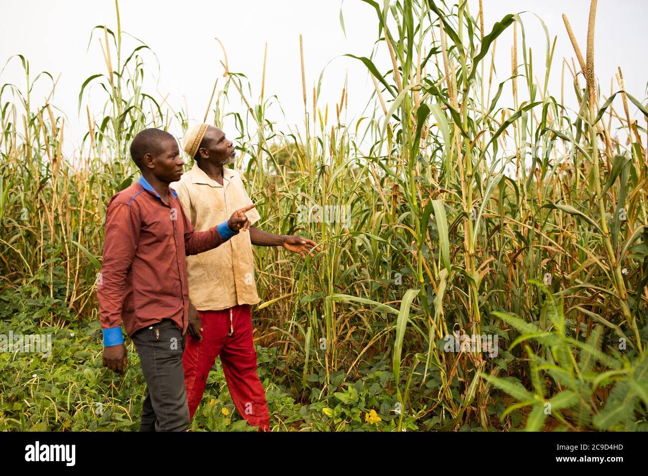 Agriculture Extension Agent Facts at Paul Pineda blog