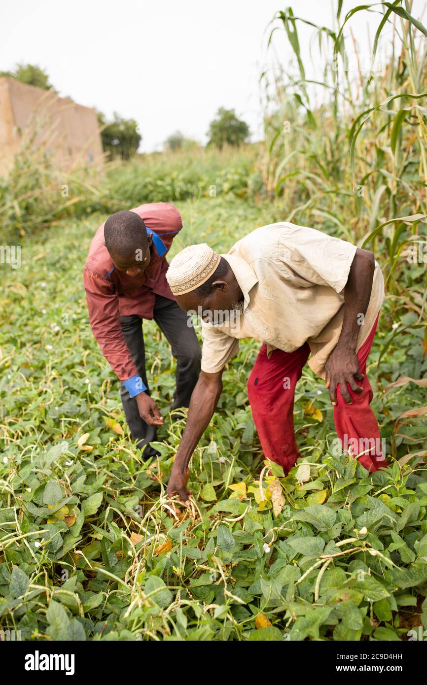 Niger people talking hi-res stock photography and images - Alamy
