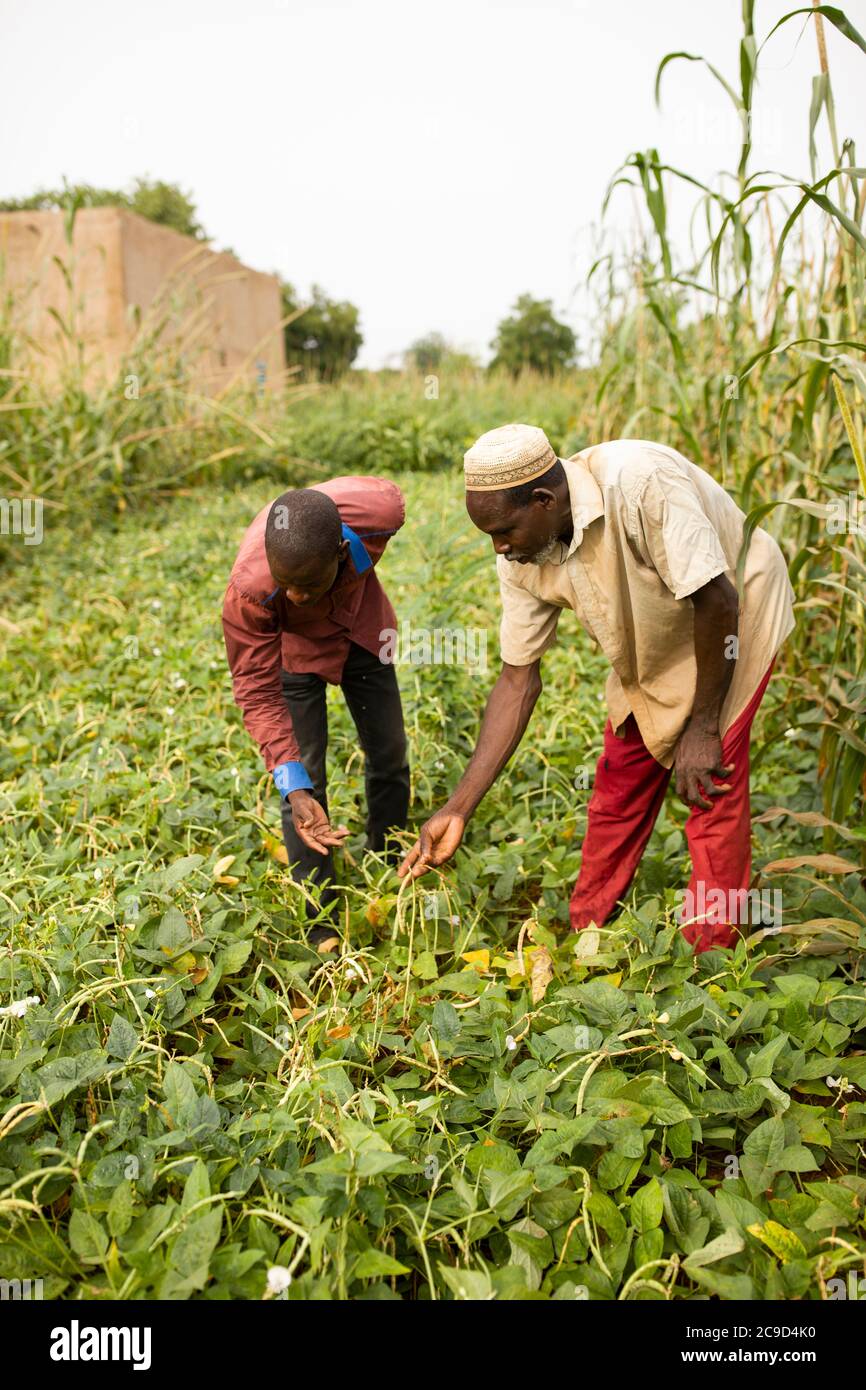 Niger people talking hi-res stock photography and images - Alamy