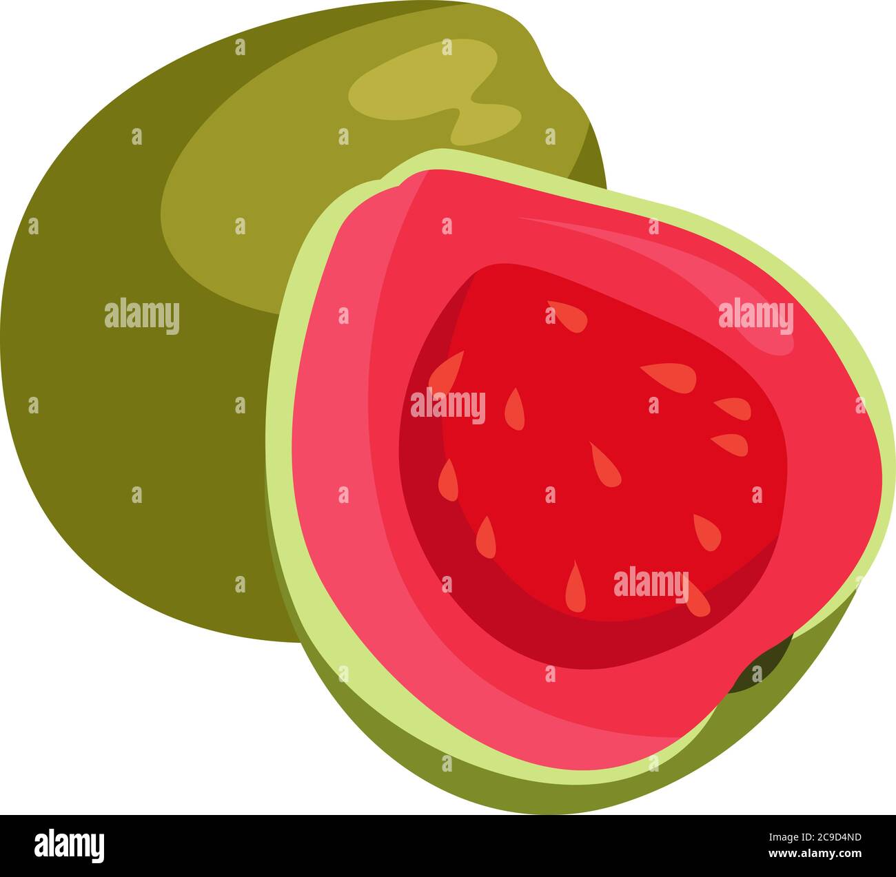 Green guava, illustration, vector on white background Stock Vector ...