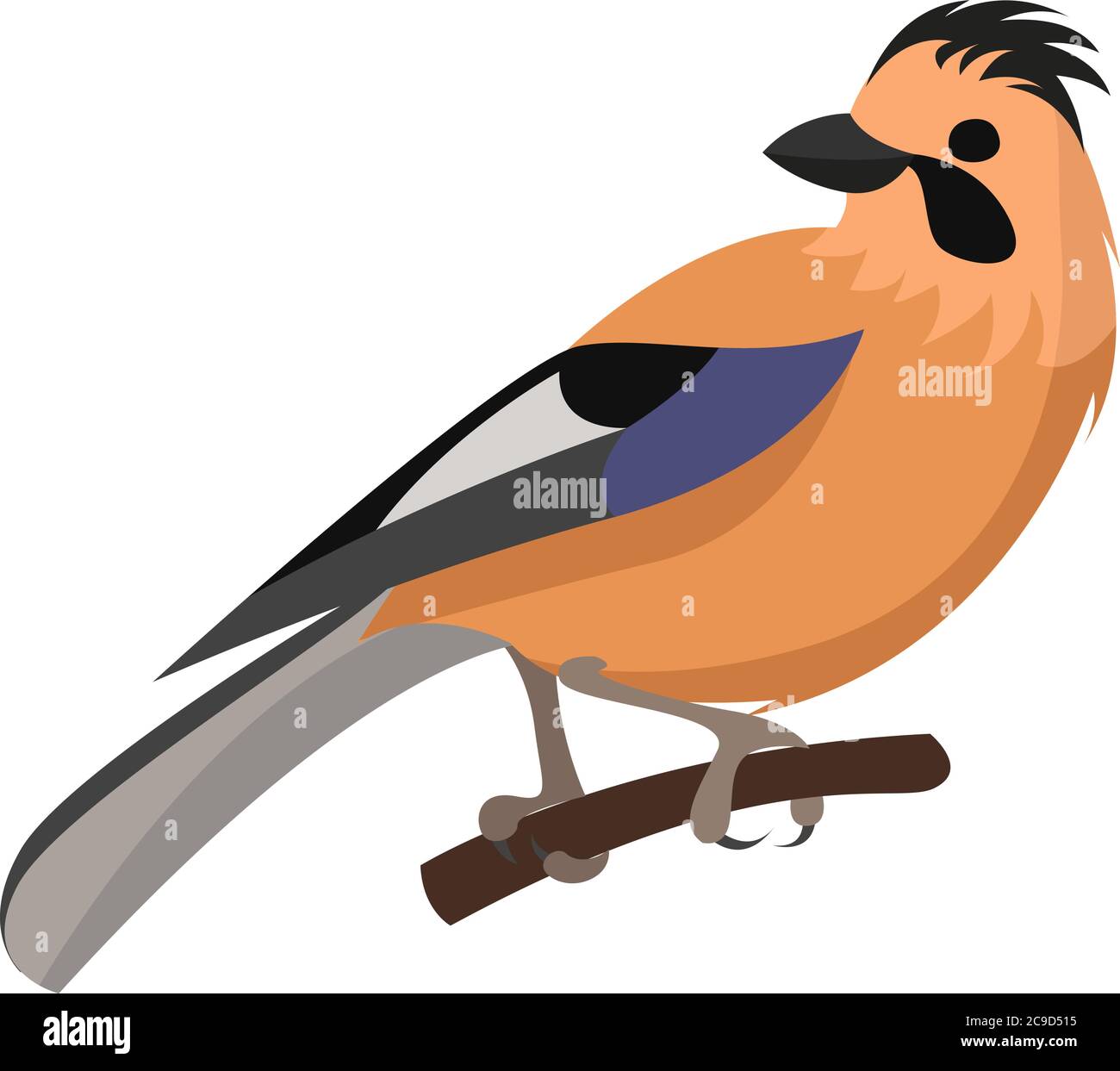 Eurasian jay feather Stock Vector Images - Alamy