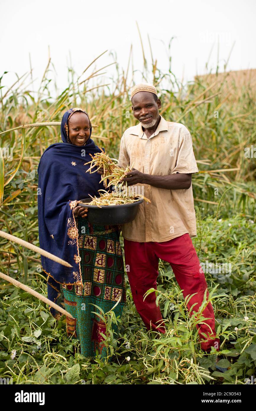 Niger food field hi-res stock photography and images - Alamy