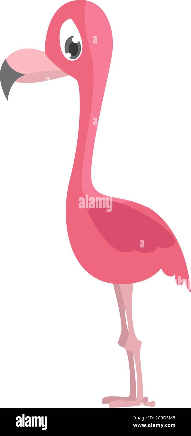 Pink flamingo, illustration, vector on white background Stock Vector ...