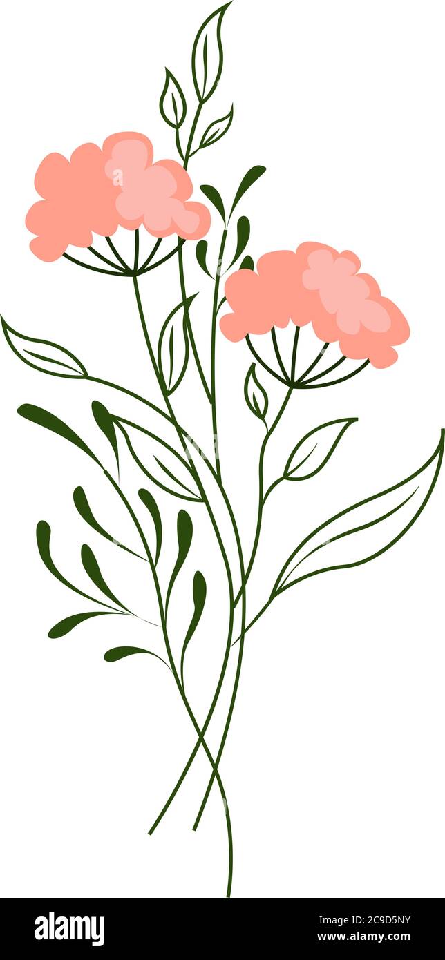 Frame pink rose flower Cut Out Stock Images & Pictures - Alamy