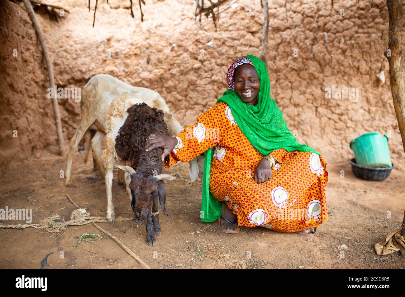 An African woman farmer sits with her sheep outside her traditional ...