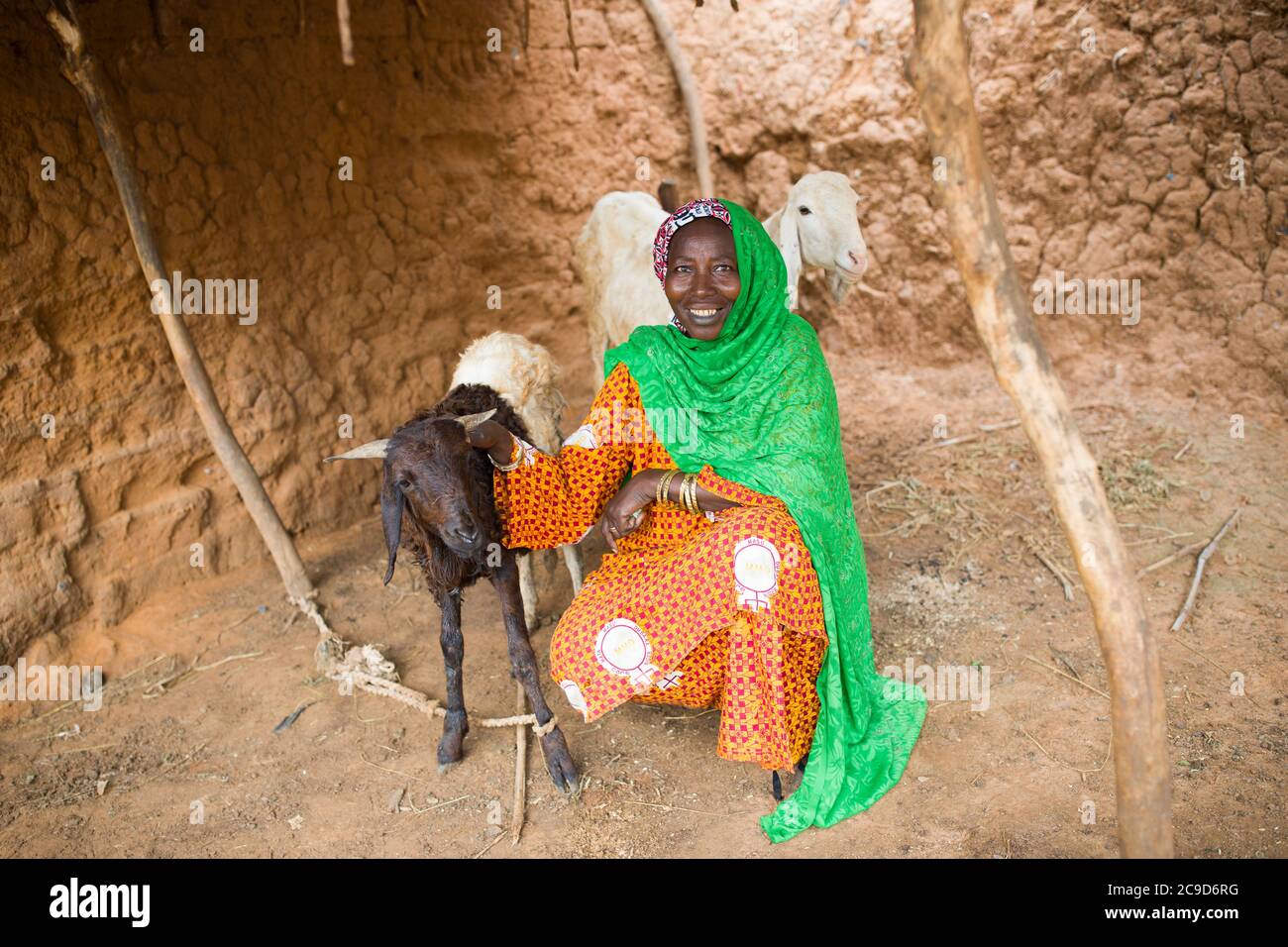 An African woman farmer sits with her sheep outside her traditional ...