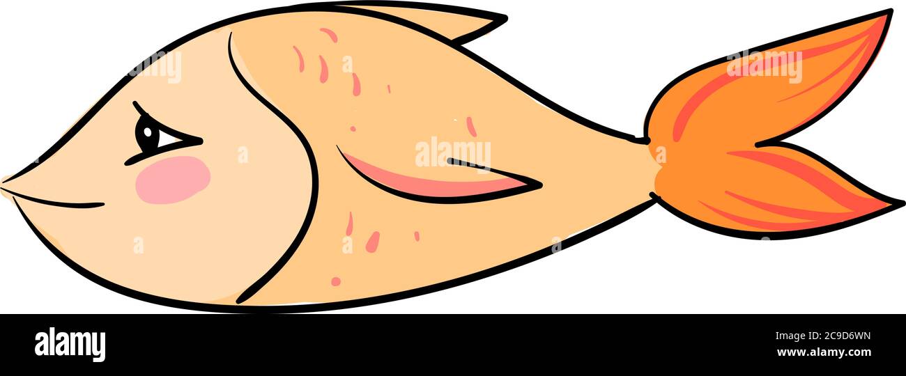 Orange fish, illustration, vector on white background Stock Vector ...