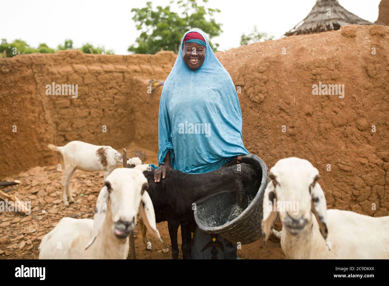 Female livestock farm hijab hi-res stock photography and images - Alamy