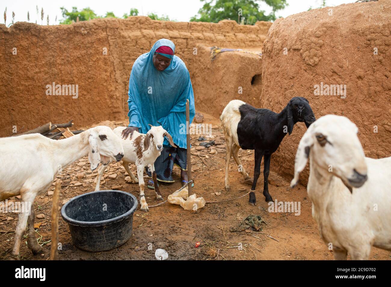 Female livestock farm hijab hi-res stock photography and images - Alamy