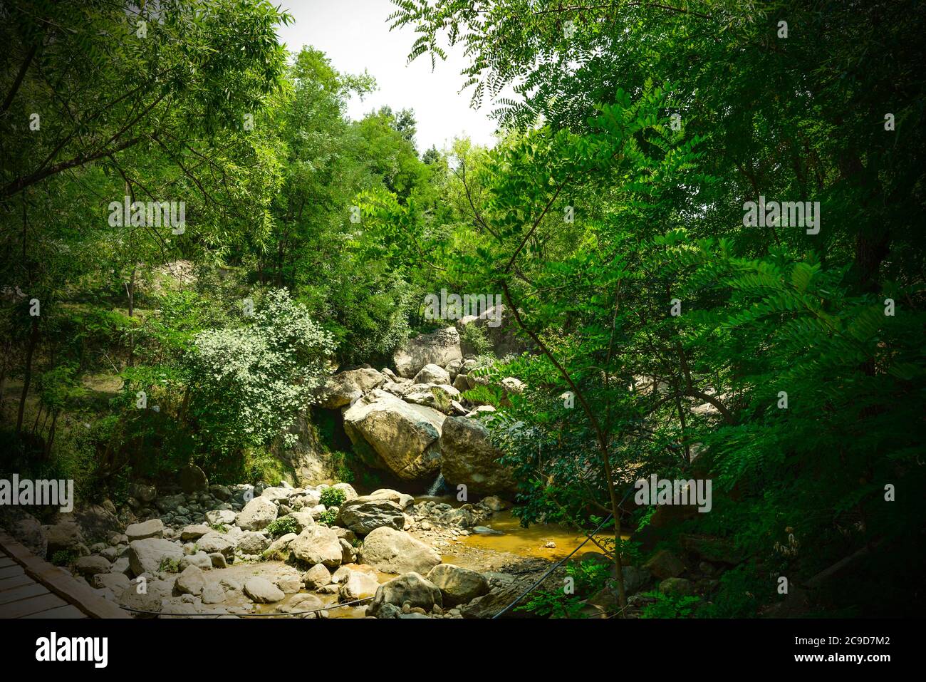 Beautiful Valley Place in Between Forest with Water and Rocks. Forest ...