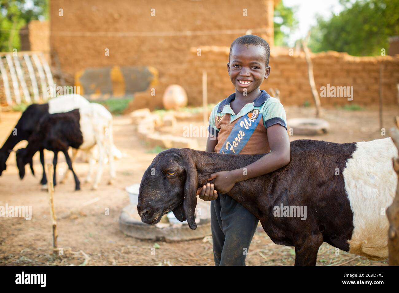 Child holding a sheep in a traditional African village in Tahoua Region ...