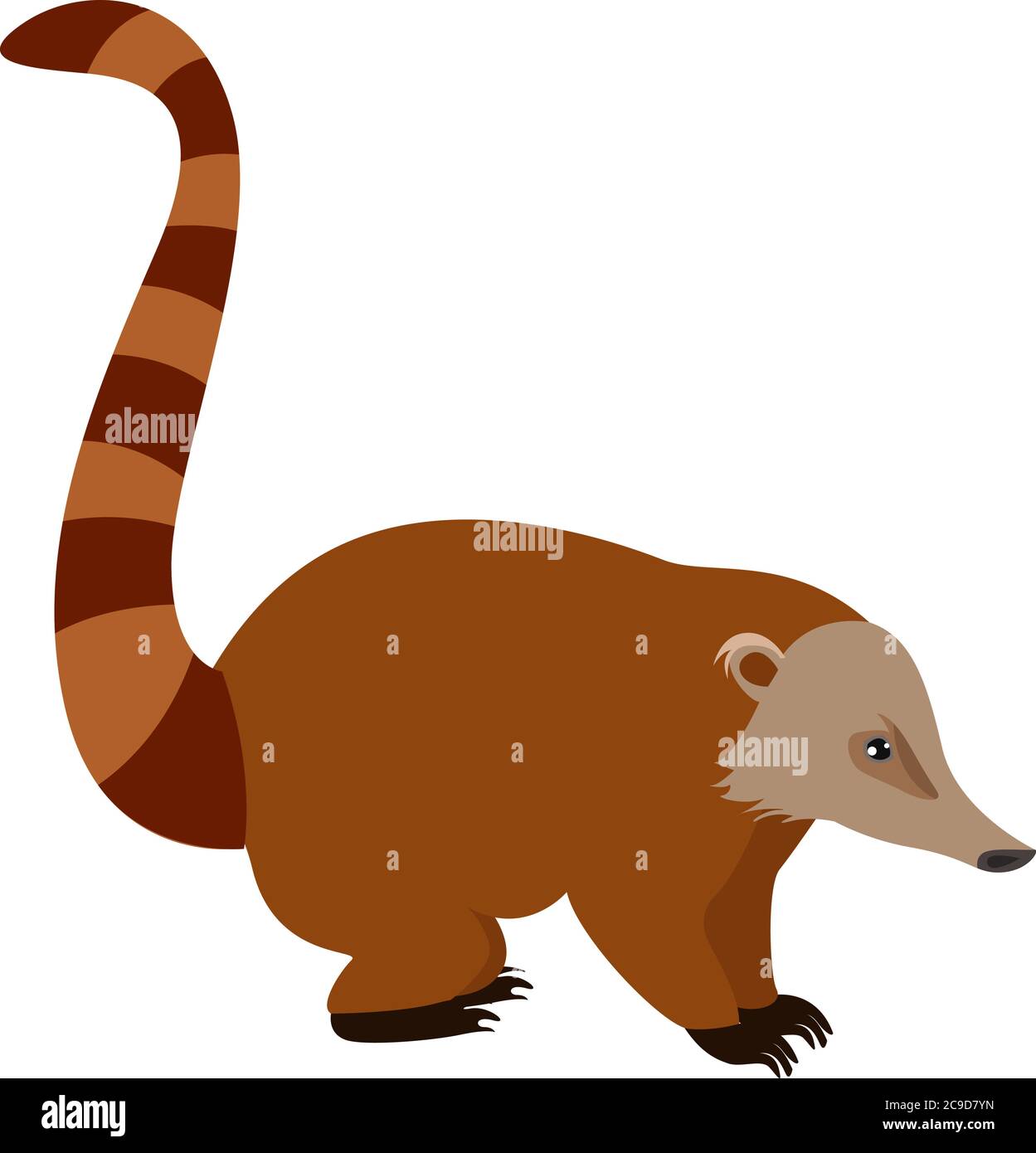Nasua animal, illustration, vector on white background Stock Vector ...