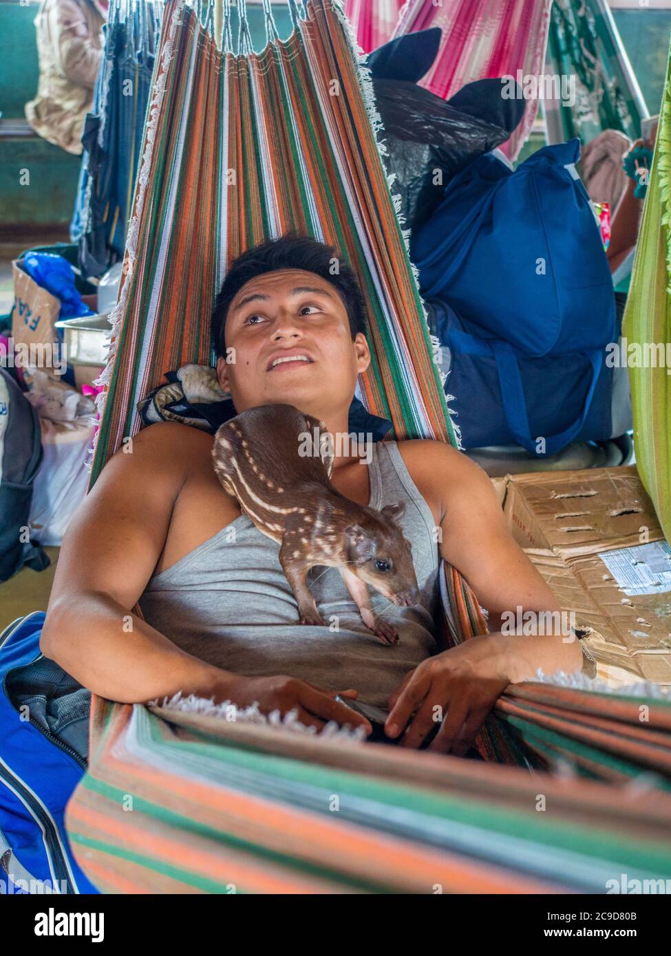 Amazon River, Peru - May 13, 2016: Red-skin man with exotic animal on ...