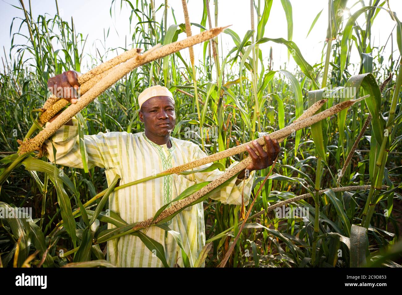 A millet farmer stands in his fields on his farm in Tahoua Region ...