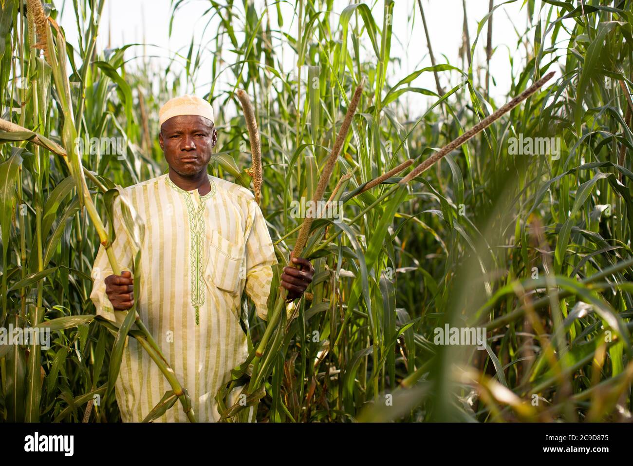 A millet farmer stands in his fields on his farm in Tahoua Region ...