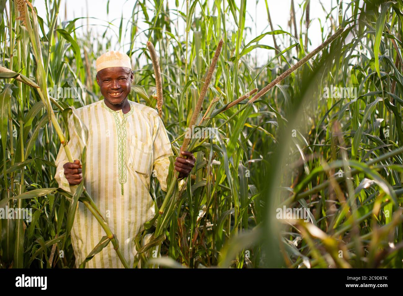 A millet farmer stands in his fields on his farm in Tahoua Region ...