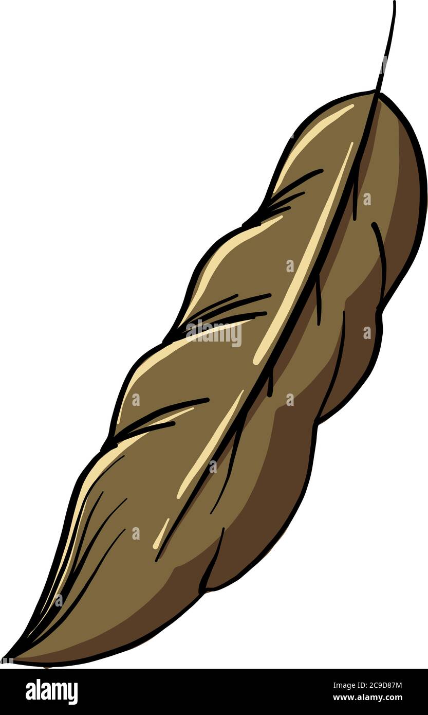 Brown feather, illustration, vector on white background Stock Vector ...