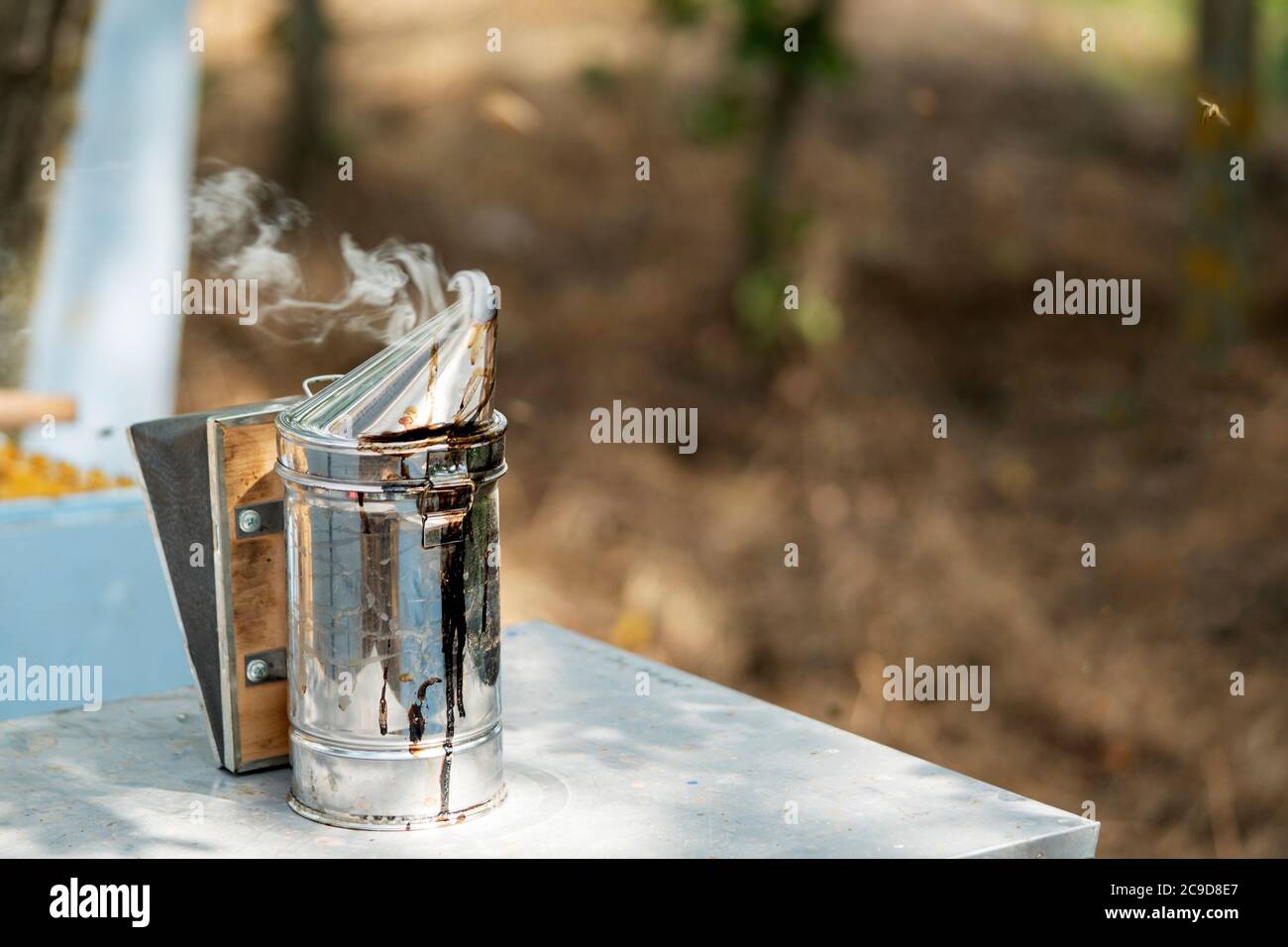 Beekeeper Smoker smokes white smoke. Apiary background. Beekeeping tool ...