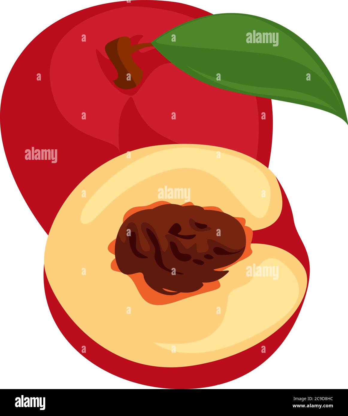 Nectarine fruit vector vectors hi-res stock photography and images - Alamy