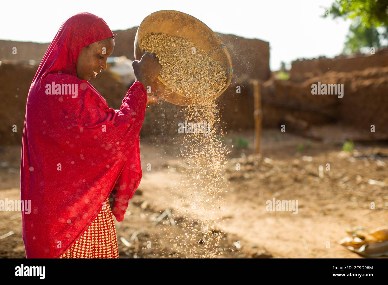 A woman wearing a traditional Islamic hijab winnows her cowpea harvest ...