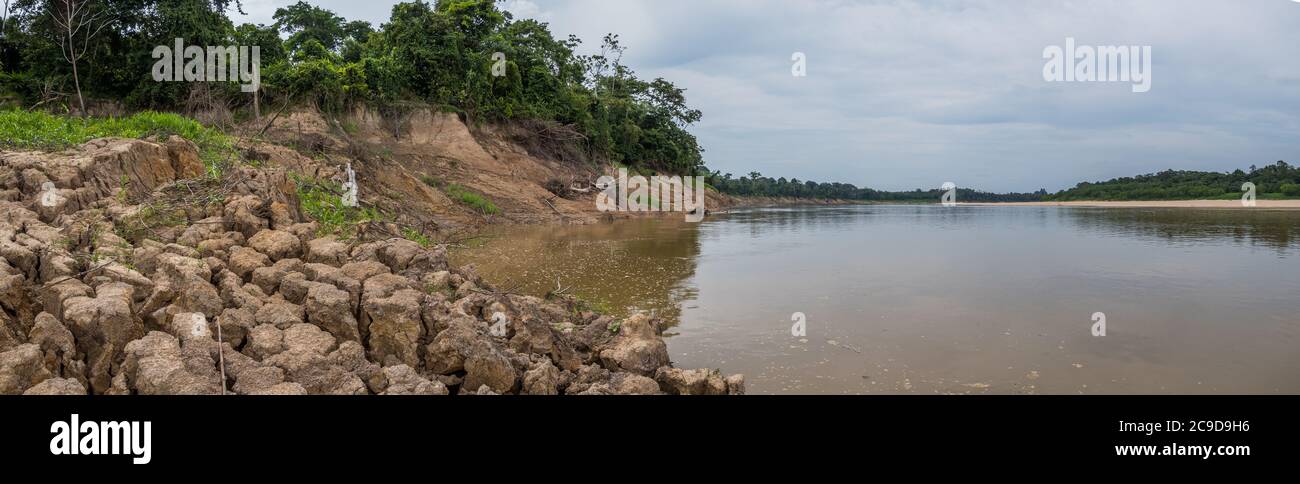 Bank of the Javari River, the tributary of the Amazon River, during the ...