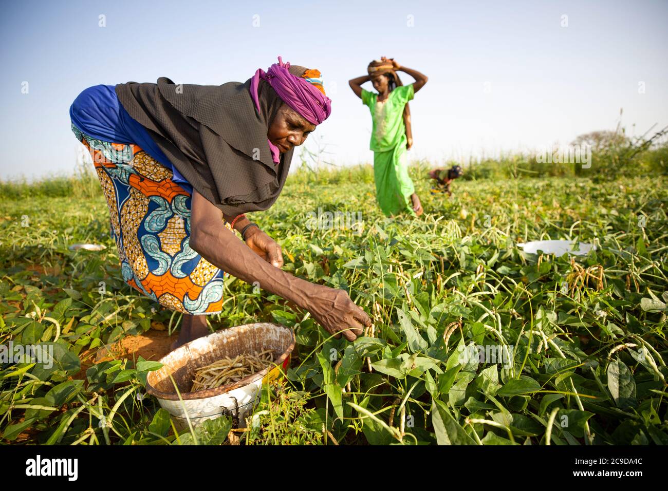 Aminatou High Resolution Stock Photography and Images - Alamy