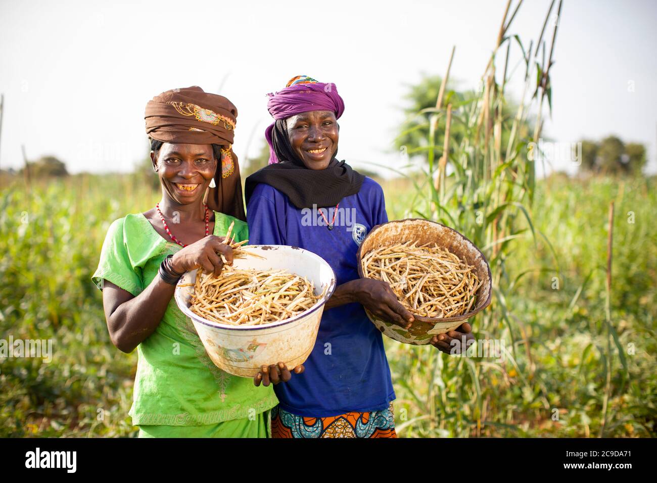 Two women smallholder farmers hold basins full of their fresh cowpea ...
