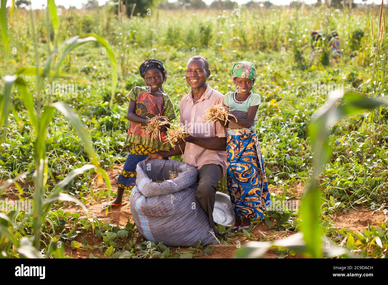 Portrait of a farmer family with their cowpea harvest in Tahoua Region ...