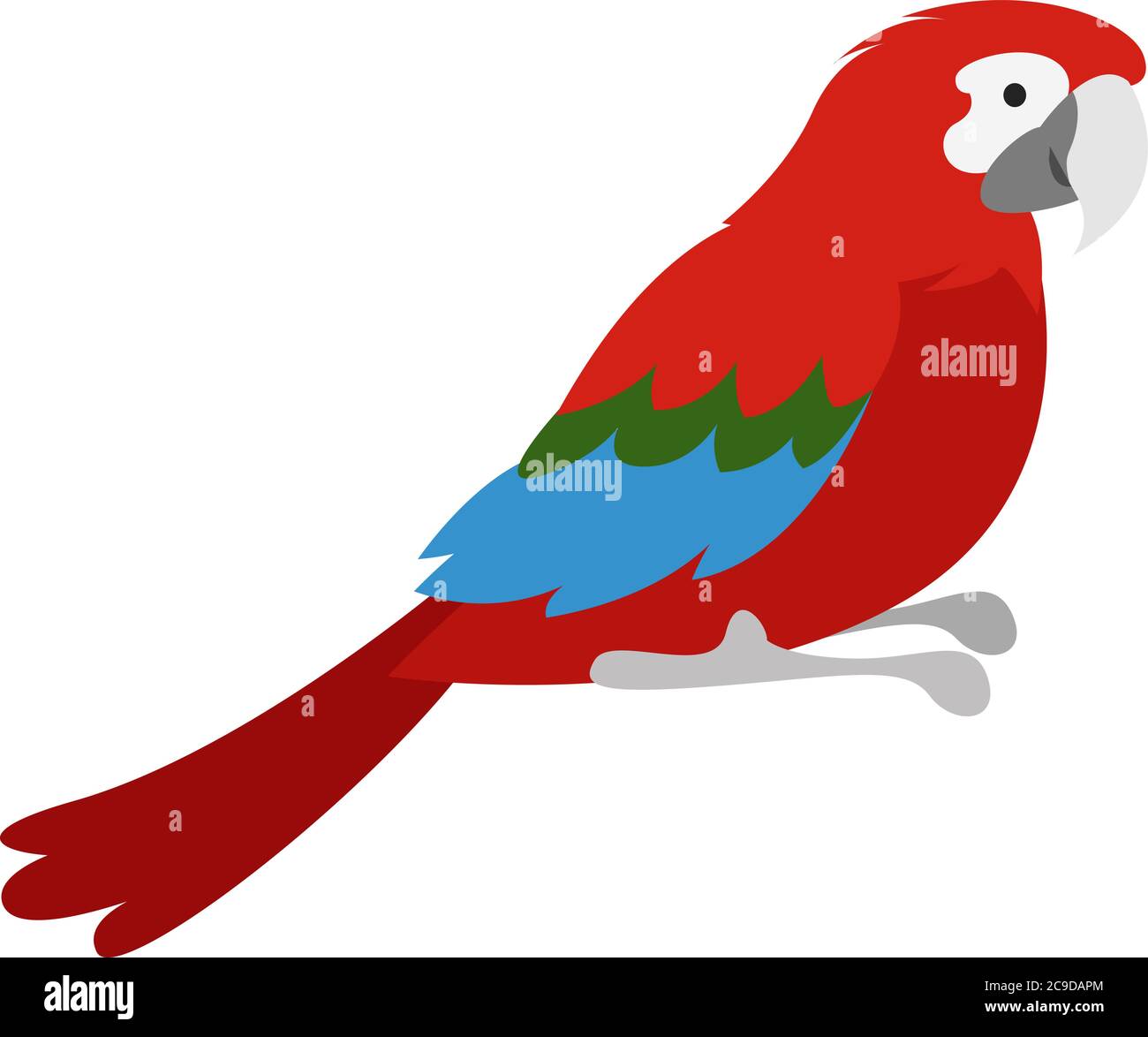 Red parrot, illustration, vector on white background Stock Vector Image ...