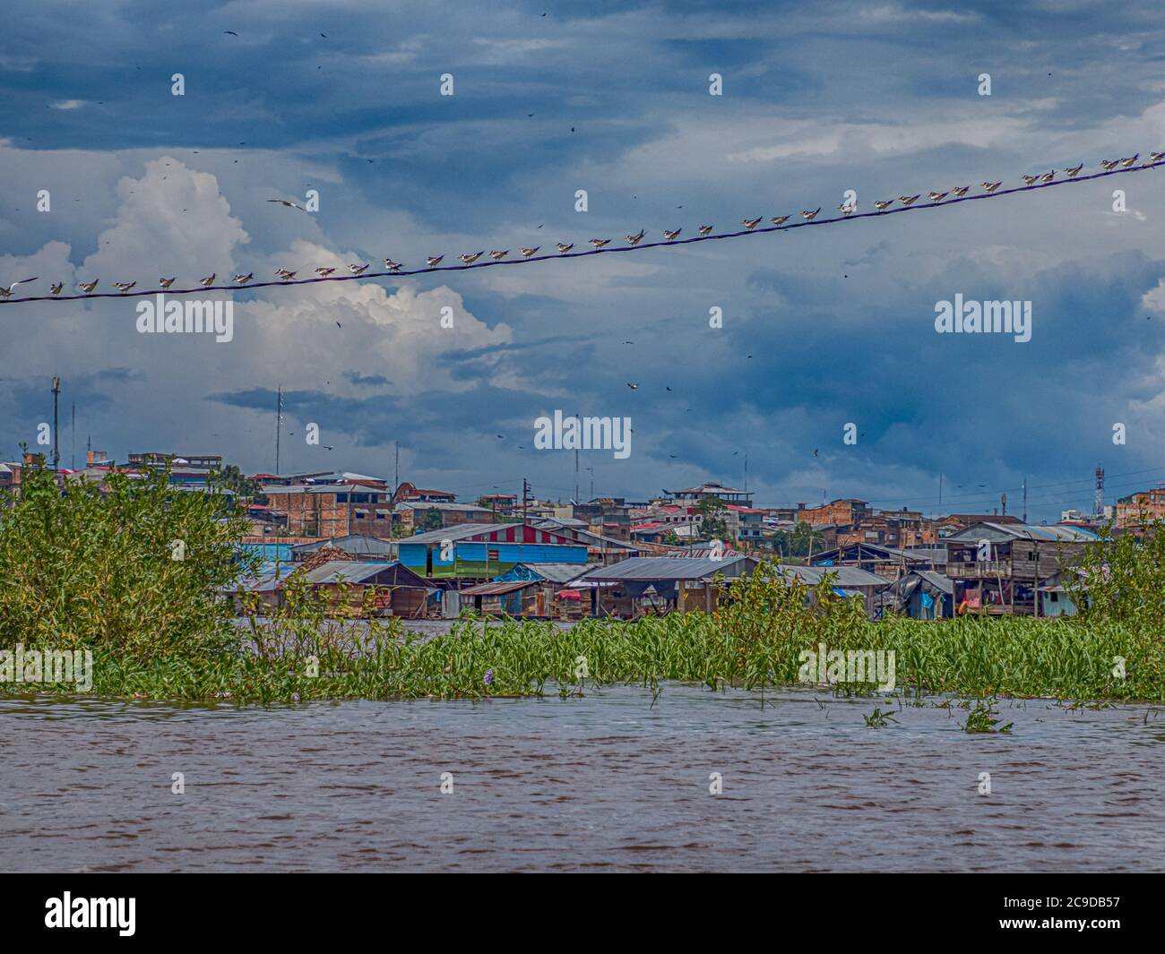 Belen, Peru- Dec 2019: Birds on the electricity cable over the floating ...