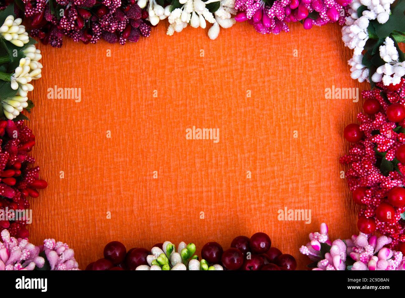 Multi colored flower border hi-res stock photography and images - Alamy