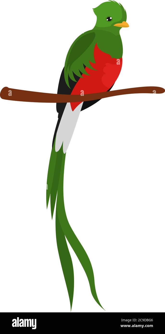 Green bird on tree, illustration, vector on white background Stock ...