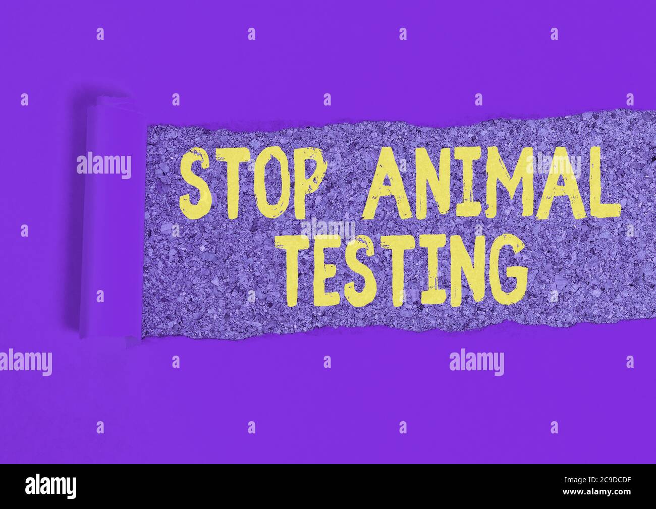 Writing note showing Stop Animal Testing. Business concept for put an ...