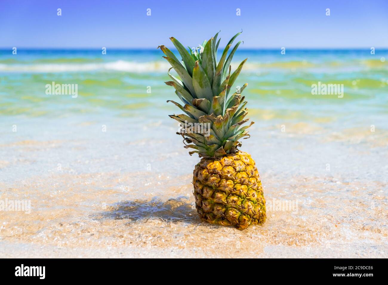 Pineapple sand beach concept hi-res stock photography and images - Alamy