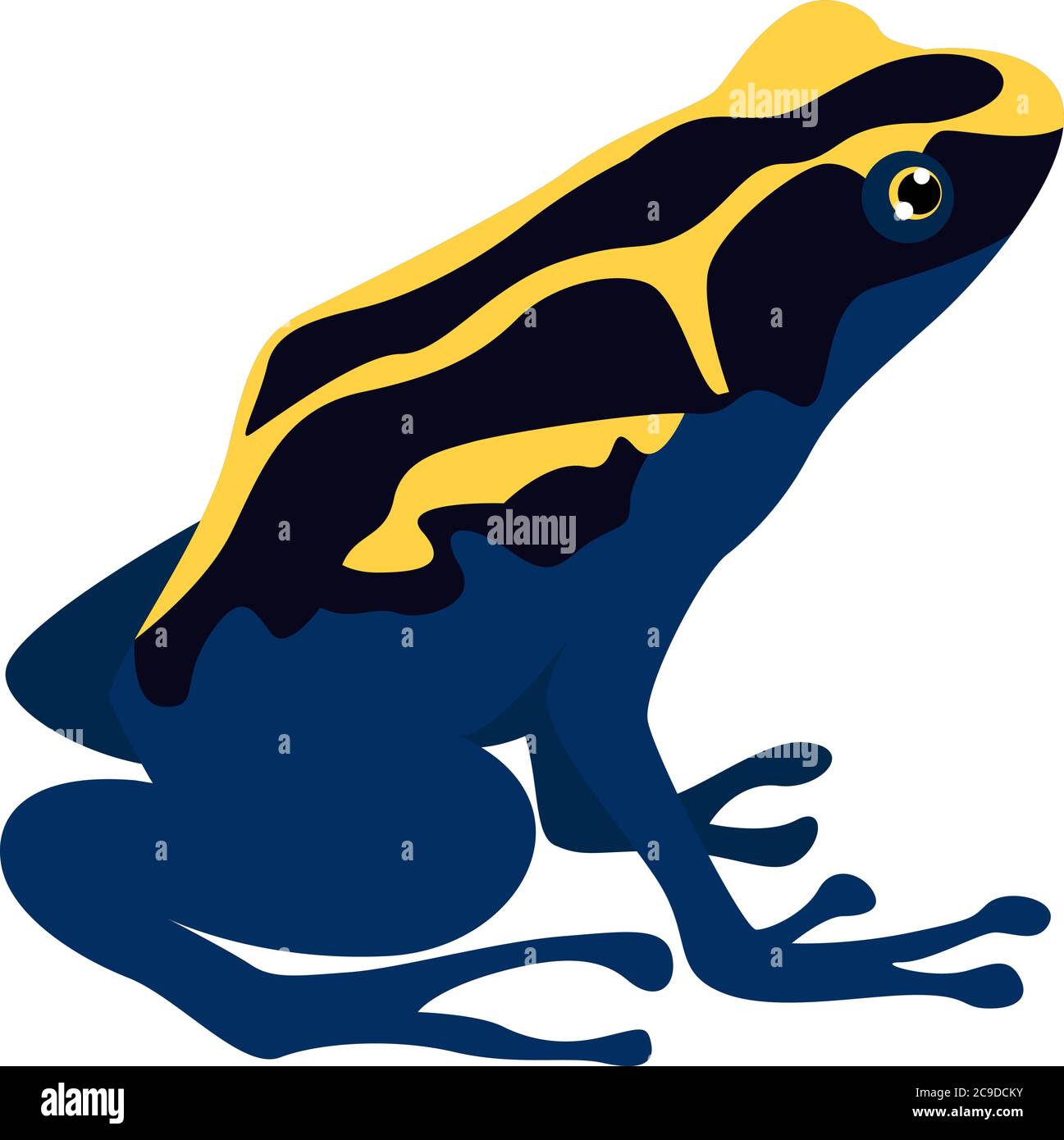 Poison frog, illustration, vector on white background Stock Vector ...