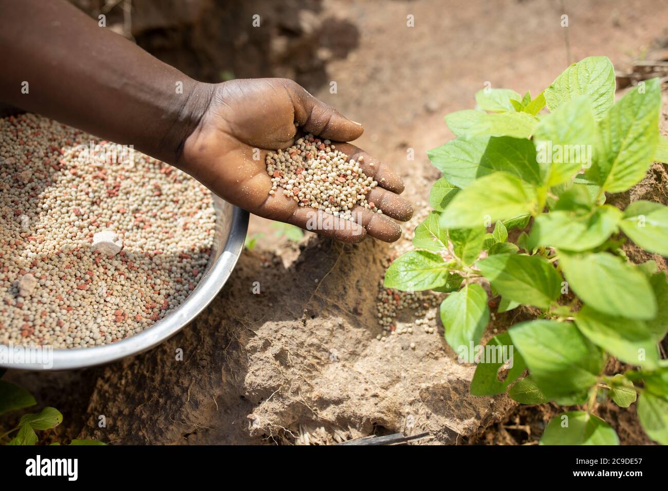 Fertilizer africa hi-res stock photography and images - Alamy