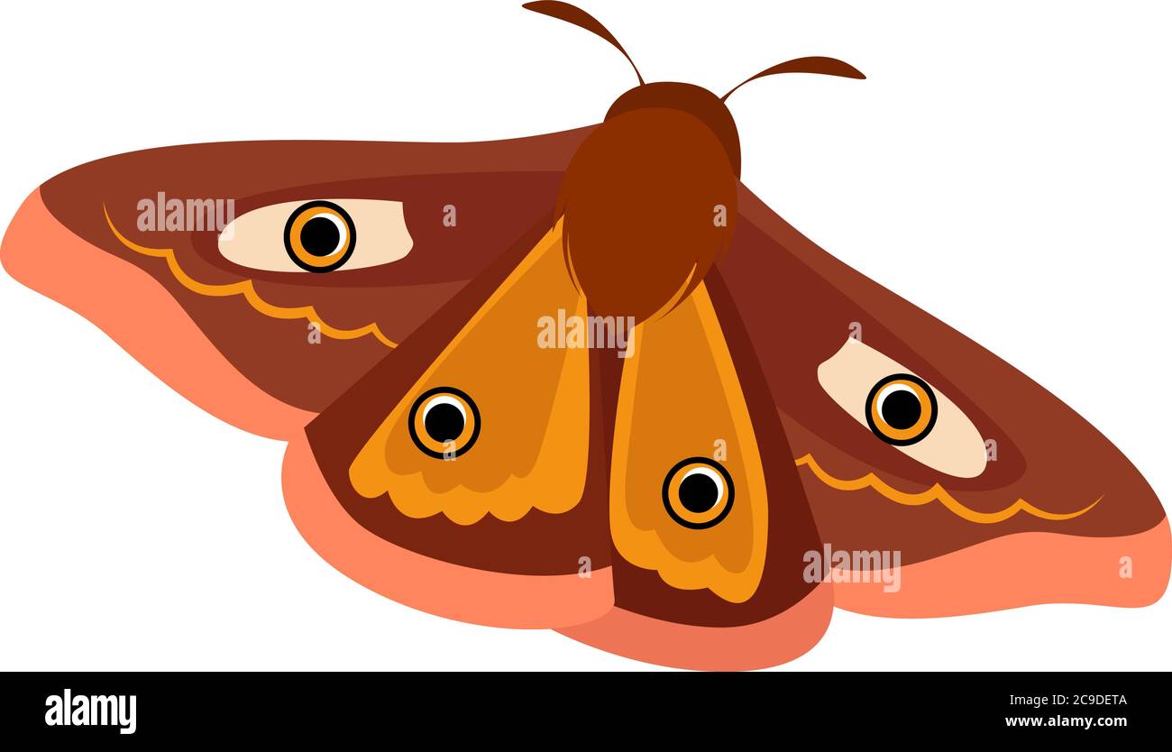 Brown butterfly, illustration, vector on white background Stock Vector ...