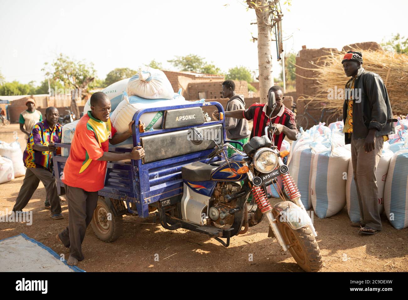 Sacks of sesame seed is bulked and purchased by commodities buyers who ...
