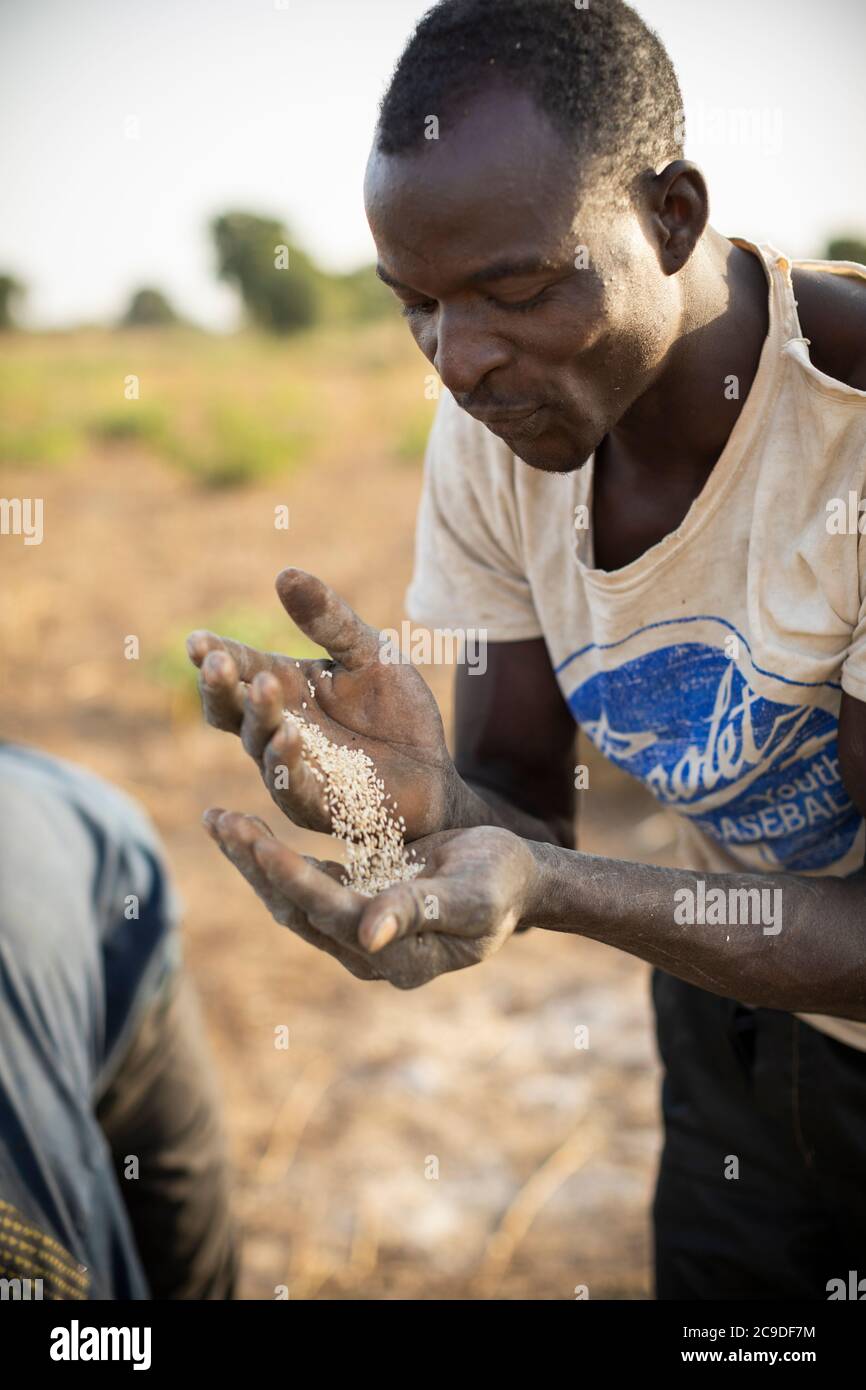 Grain farmers and farming hi-res stock photography and images - Alamy