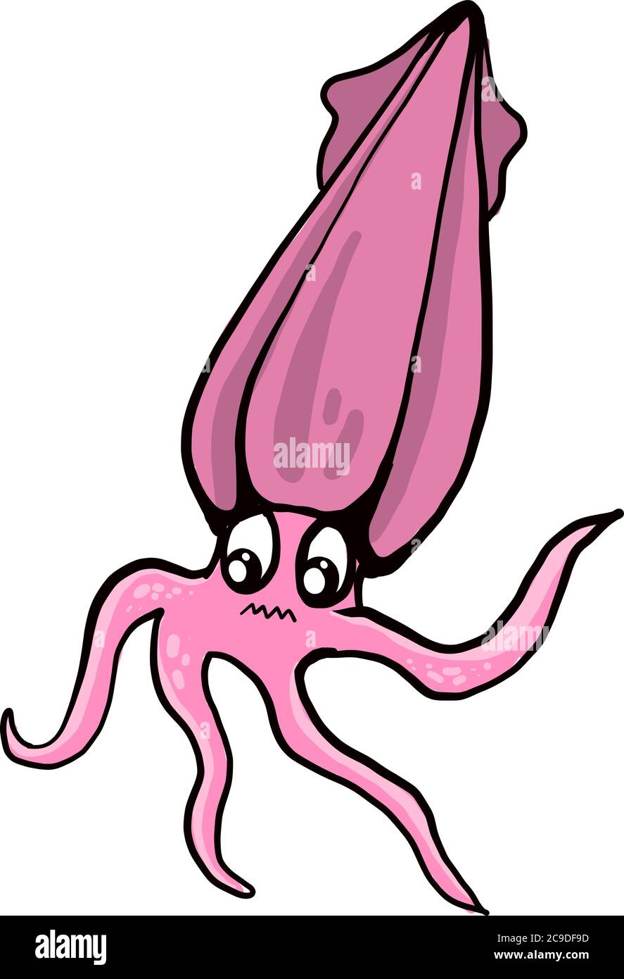 Pink squid, illustration, vector on white background Stock Vector Image ...