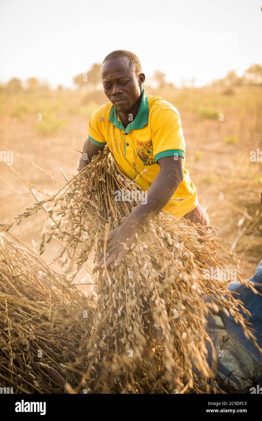 Out Of Africa High Resolution Stock Photography and Images - Alamy